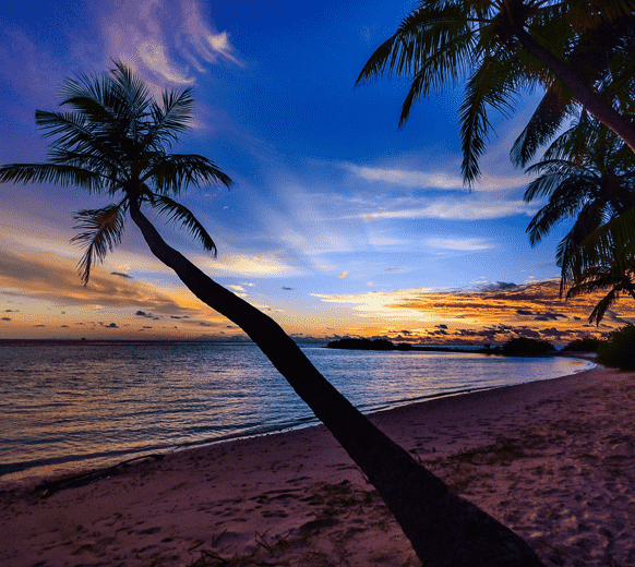 Tour Options - Nature Island Tours Custom Options